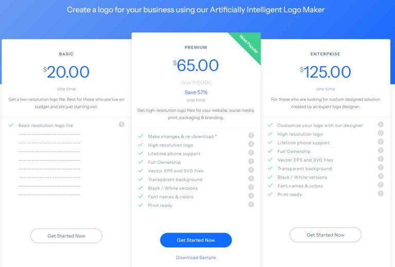 Designhill Review: Discover Its True Potential